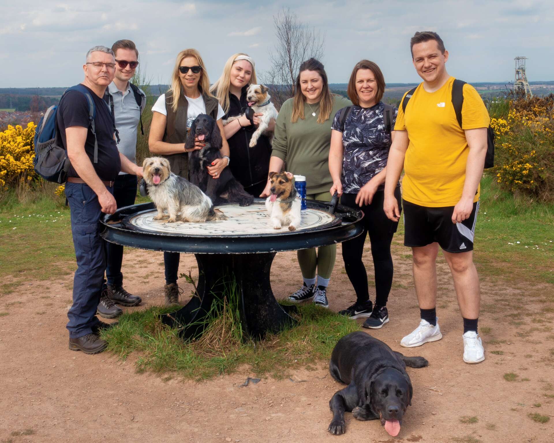 Homepage APG | Asset Protection Group